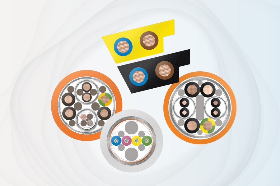 BizLink Group – Panirex FZE